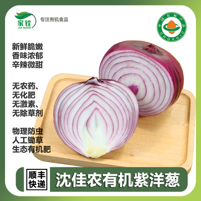 沈佳农有机洋葱5斤无农药新鲜