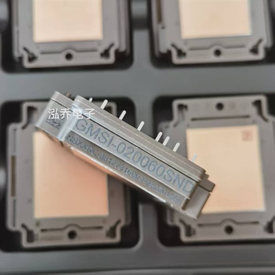 GMSI-025120TNE  GMSI-020060SND 模块现货可直接拍下