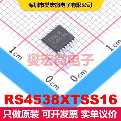 RS4538XTSS16 TSSOP-16 多谐振荡器 逻辑 集成芯片IC