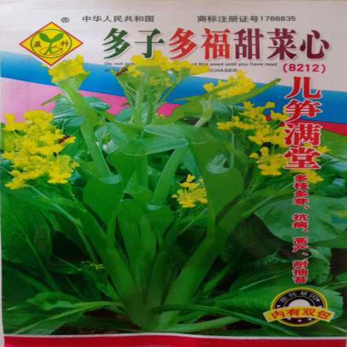 多子多福甜菜心多芽菜心种子多次菜心苔十月秋冬四季播蔬菜种子