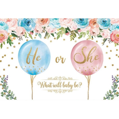 宝宝性别揭示迎婴派对背景布