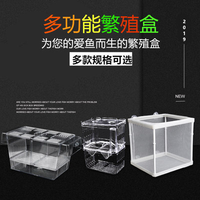 孔雀鱼繁殖孵化盒斗鱼透明产卵