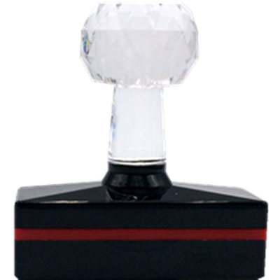 定做此复印件与原件一致 此件仅用于仅限于 使用再次复印无效印章