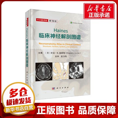 Haines临床神经解剖图谱 中文翻译版 第10版 (美)杜安·E.海恩斯(Duane E. Haines) 编 张力伟 译 外科学生活 新华书店正版图书籍