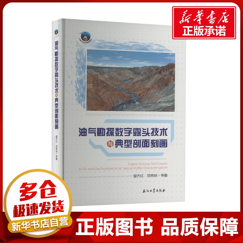油气勘探数字露头技术与典型剖面刻画 曾齐红 等 著 石油 天然气工业专业科技 新华书店正版图书籍 石油工业出版社