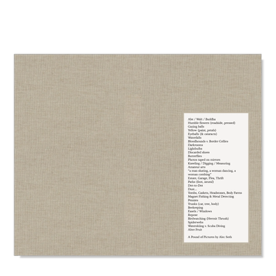 【预售】【签名版】亚历克·索斯：一堆照片Alec Soth: A Pound of Pictures英文原版摄影集 外版进口图书