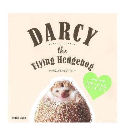 【现货】Darcy the Flying Hedgehog，刺猬Darcy 日文原版图书籍进口正版  旅游 Seigensha青幻舎