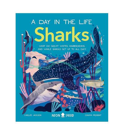 【预售】【动物的一天】鲨鱼【A Day in the Life】Sharks英文进口原版儿童绘本图书Chaaya Prabhat百科