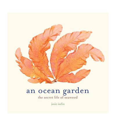 【现货】An Ocean Garden：The Secret Life of Seaweed海洋花园 英文进口原版艺术画册画集Abrams