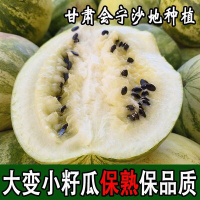 嘟角鲜大变小籽瓜甘肃沙地籽瓜当季新鲜黄心黄壤保熟打瓜子食用瓜