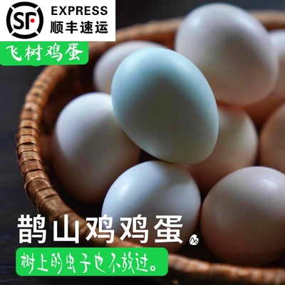 富硒鹊山蛋白绿壳千牧羽30枚食用