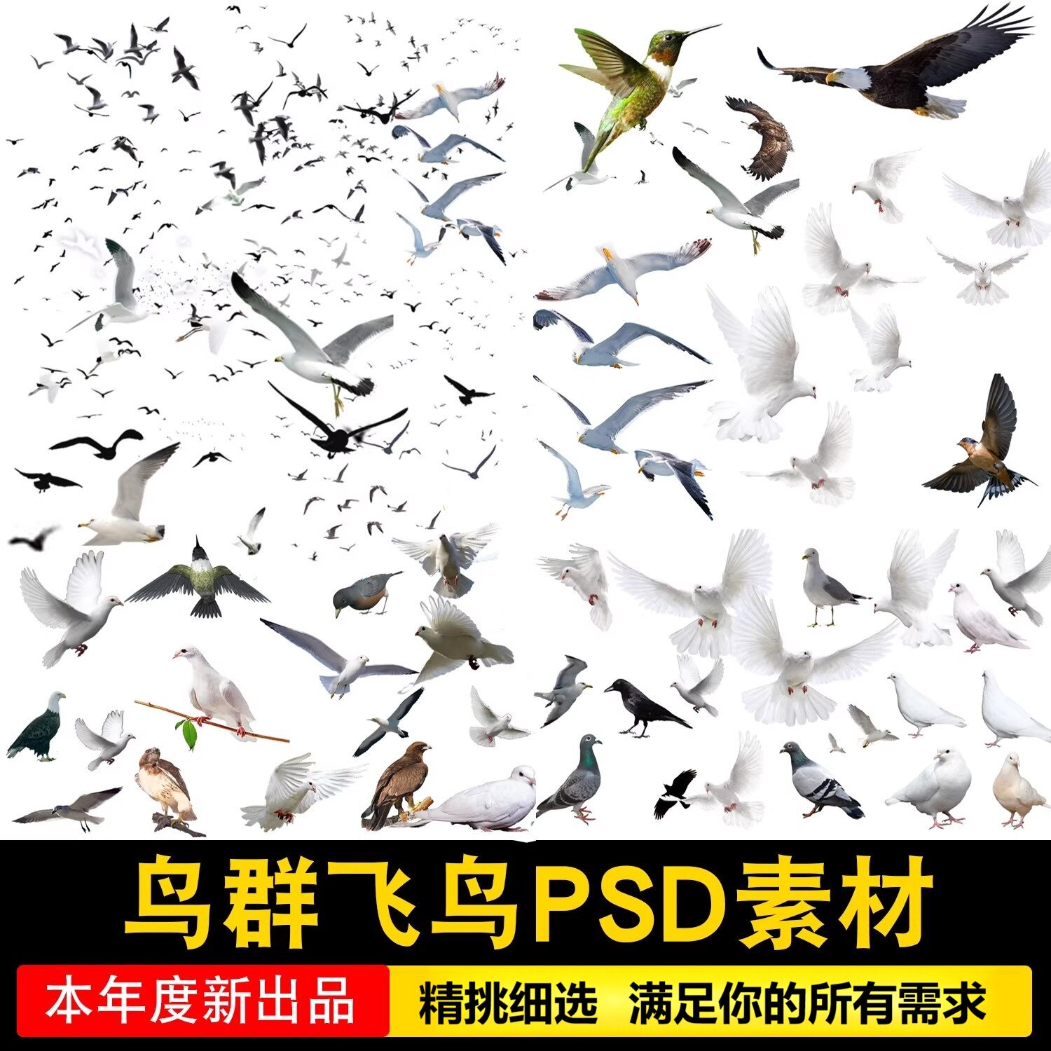 鸟类飞鸟线稿黑白剪影鸟群效果图后期鸟瞰图配景PSD免扣PS素材