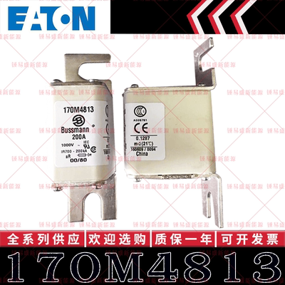 现货伊顿巴斯曼BUSSMANN保险丝 170M4813 200A 1000V 快速熔断器