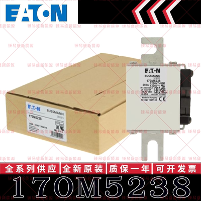 170M系列巴斯曼快速熔断器 170M5238 170M5239 170M5240 170M5241