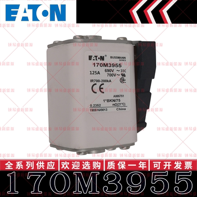 170M系列巴斯曼快速熔断器 170M3955 170M3956 170M3957 170M3958