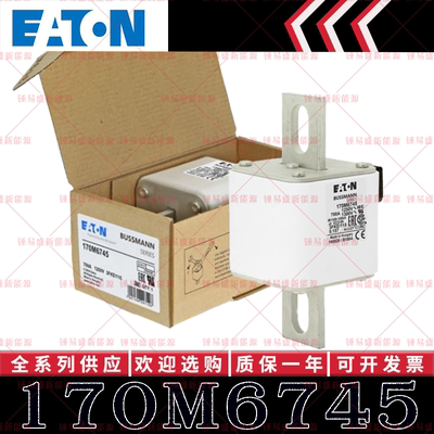 170M系列巴斯曼快速熔断器 170M6742 170M6743 170M6744 170M6745