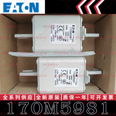 170M系列巴斯曼快速熔断器 170M5981 170M5982 170M5983 170M5984