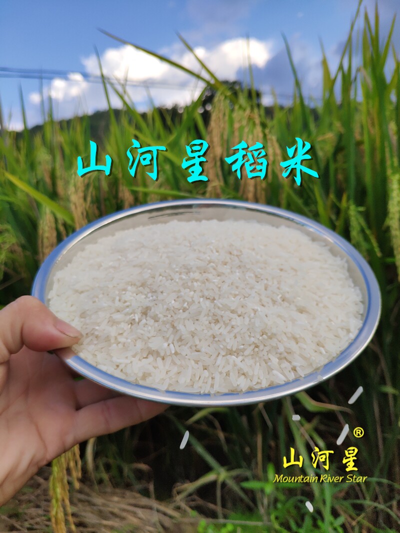 山河星香软大米白米无抛光闽三明大米圆长粒香籼软糯优质新米5斤