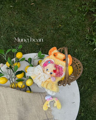 现货 Mung bean宠物手工高定毛衣小型犬宠物衣服可爱狗狗衣服