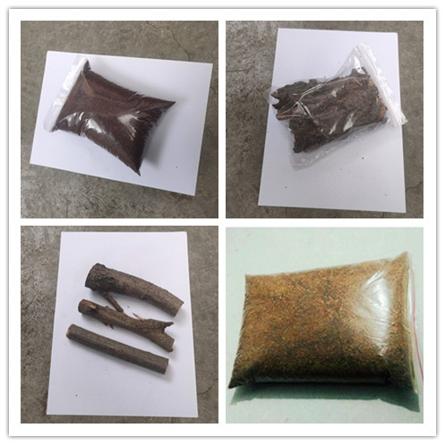 【成虫垫材】独角仙成虫锹甲成虫昆虫宠物爬宠饲养造景铺底垫材