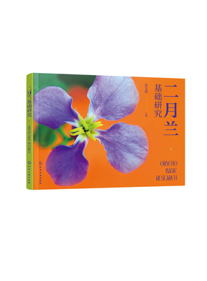 正版书籍 二月兰基础研究 张宝旭  主编化学工业出版社9787122395962 98.00