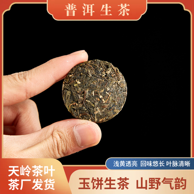 天岭茶叶云南普洱生饼小饼