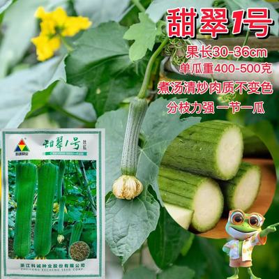 甜翠1号丝瓜种子早熟蔓生绿色浅皱丝瓜种籽雌性强农家种大田均可