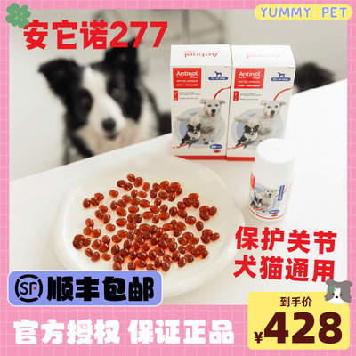 新西兰安它诺277软骨素Antinol安替诺胶囊猫狗524保护关节安适得