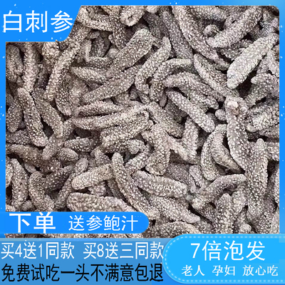 刺参半斤250g野生海参海参