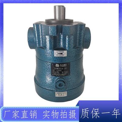 新款高压油泵10 25 40 63 80 100 160 250 400MCY14-1B轴现货