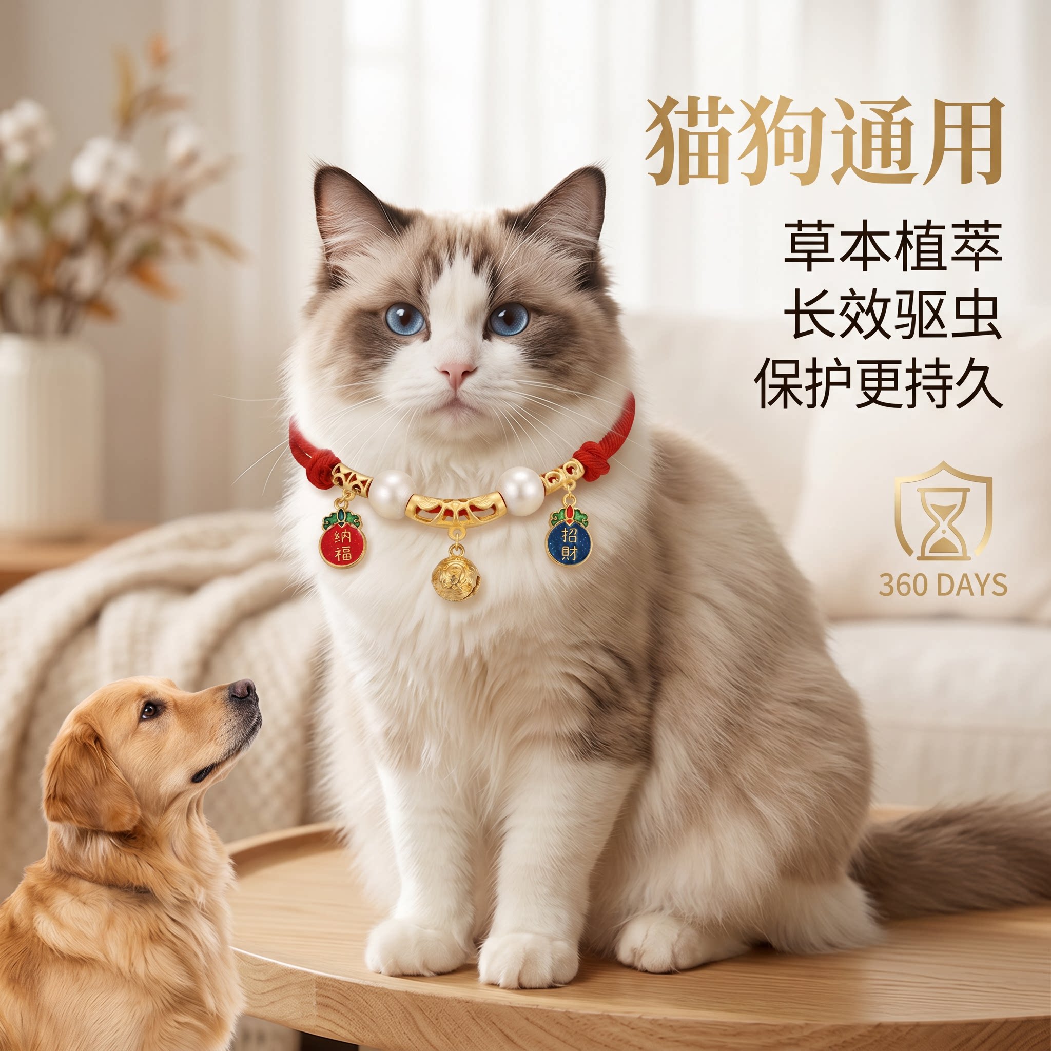 猫猫项圈驱虫项圈刻字丢失脖圈宠物饰品猫咪项圈定制调节宠物项圈