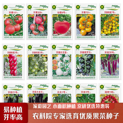 京研四季蔬菜种子易种高芽率果菜