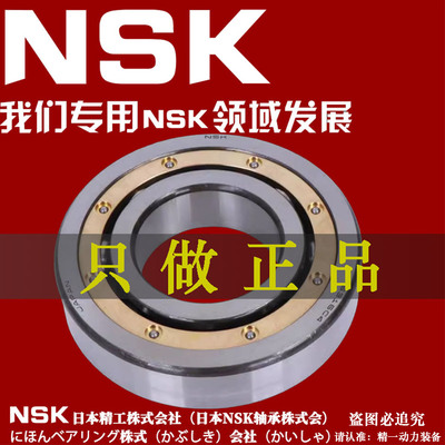 NSK进口日本轴承6044M/C3