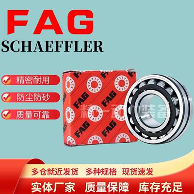 FAG德国进口轴承2402224024