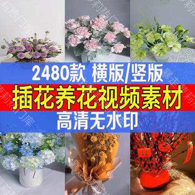 插花养花唯美高清无水印短影片素材抖音快手热门剪辑自媒体影片