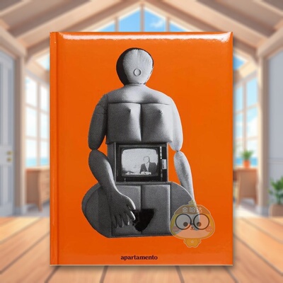 【现货】视觉艺术家Nicola L.生活与艺术【NICOLA L.】Life and art英文室内设计设计师工作室Hannah Martin 精装apartamento进口