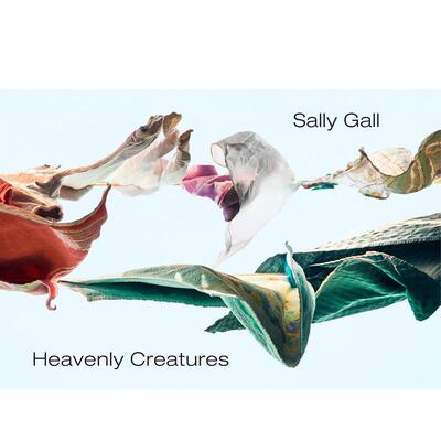 【现货】Heavenly Creatures天上造物 风筝摄影集英文进口原版图书Sally Gall Eric Fischl