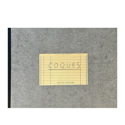 菲利普·维斯贝克尔Philippe Weisbecker艺术作品集：船体 COQUES/家具/卡车 日文进口原版设计图书フィリップ?ワイズベッ