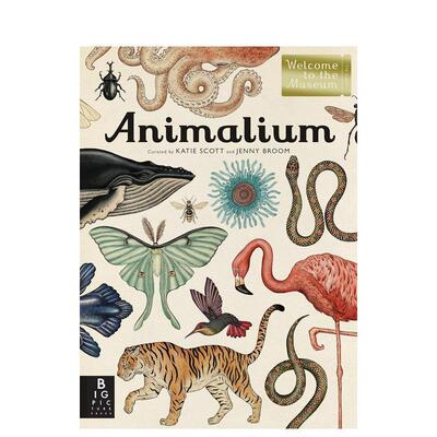 【预售】欢迎来到博物馆：动物世界 Welcome to the Museum: animalium 原版英文青少年读物