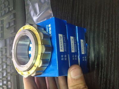 偏心轴承RN307M RN308M RN306M 精密减速机轴承RN307M偏心轴承