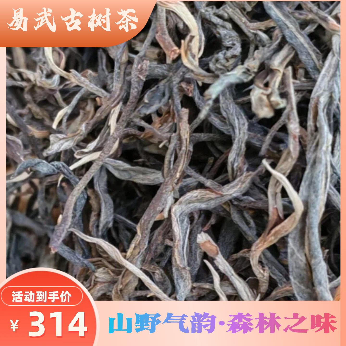 云南普洱茶 易武古树茶·圣境古树生茶 散茶 200g