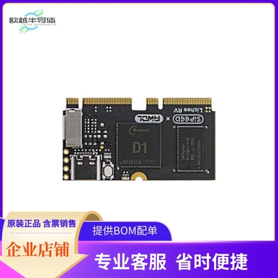 102110647【LICHEE RV-NEZHA CM ALLWINNER D1】开发板 套件 编