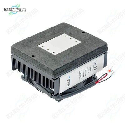 DA-044-24-02-00-00[热器件THERMOELECT ASSY DIRECT-AIR 44W]