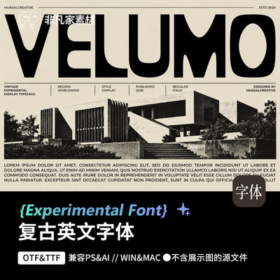 现代主义建筑复古美学procreate英文海报包装标题字体PS/AI安装包
