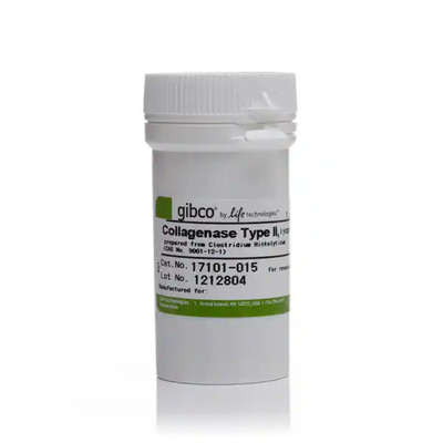 gibco 17101-015 胶原酶II型Collagenase II 1g