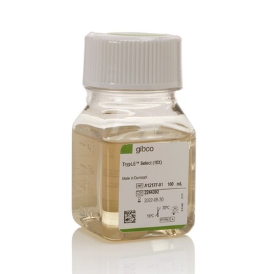 GIBCO A1217701 Select 酶 (10X) 无酚红 100ml