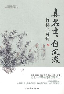 正版包邮 真名士.自风流-竹林七贤传 苏河 书店传记 书籍 畅想畅销书