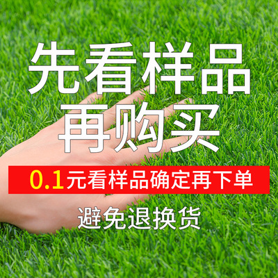 【样品专拍】人造仿真工程草坪