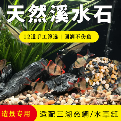 原生溪流石造景鱼缸底砂装饰五彩石大石头头天然铺底免洗鹅卵石