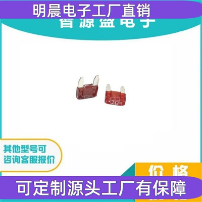 0297010.WXNV进口小号汽车保险丝插片式10A 32V littelfuse